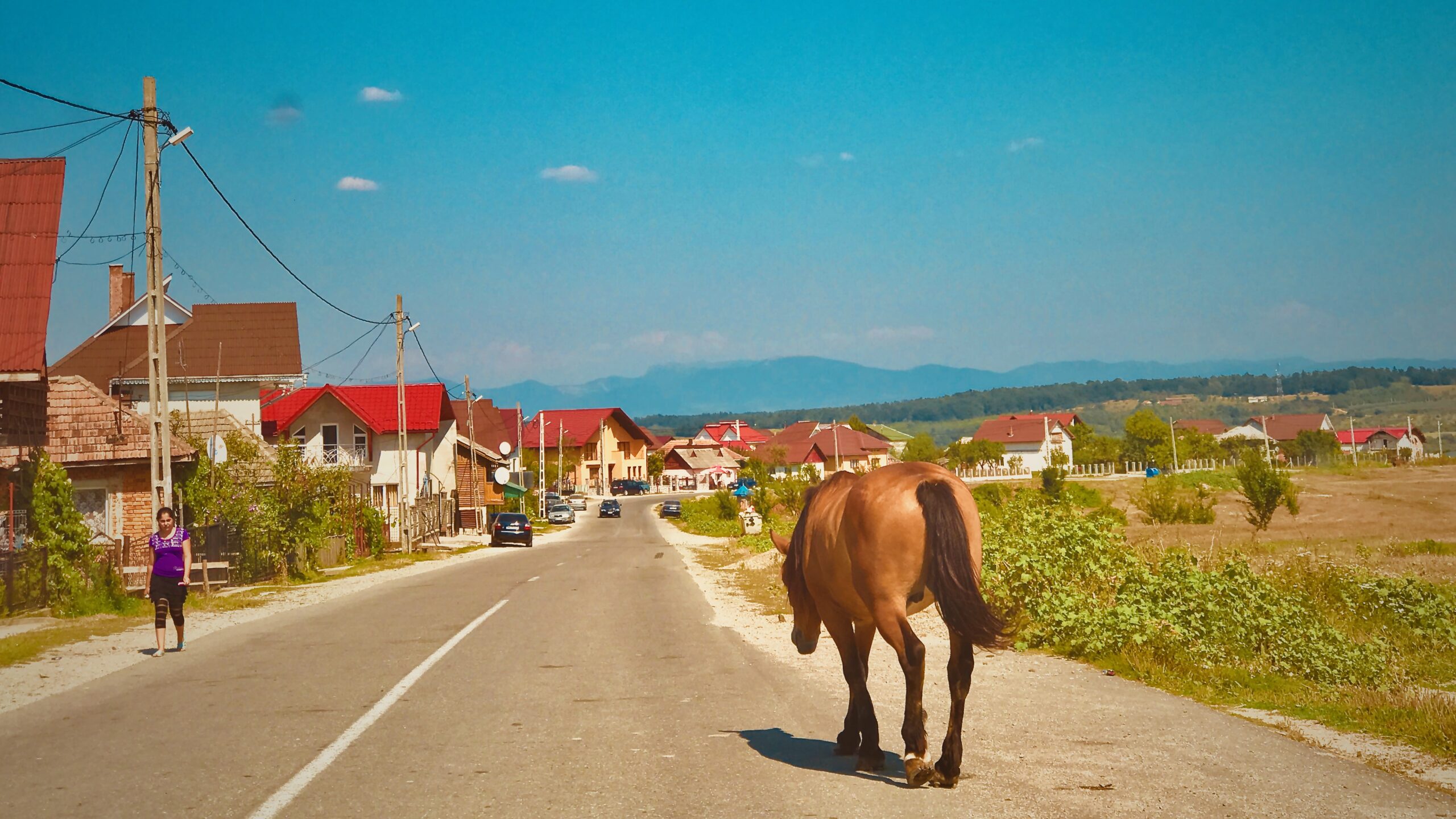 Tehisintelligentse kiiruskaamera eest ei varja midagi